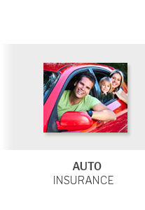 Cover My Wallet Insurance 👪 Sep 2025